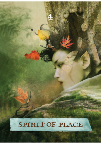 The Enchanted Map Oracle Cards